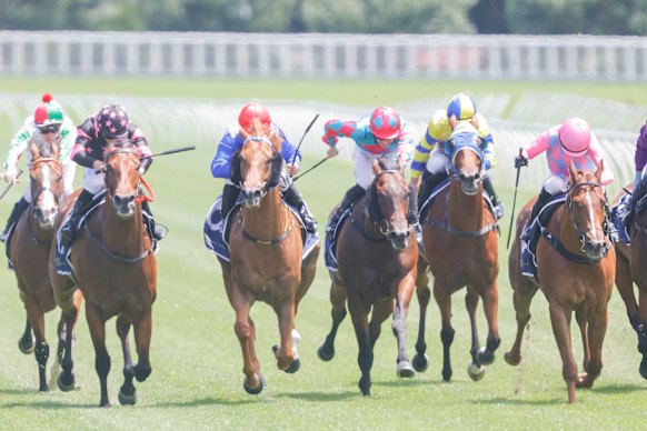 Racing 2022: Randwick meeting fails to shine, kangaroos rule at Hanging ...