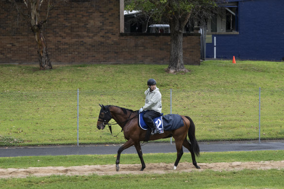 Golden Eagle 2023: Japanese jockey Yutaka Take faces fitness battle to ...