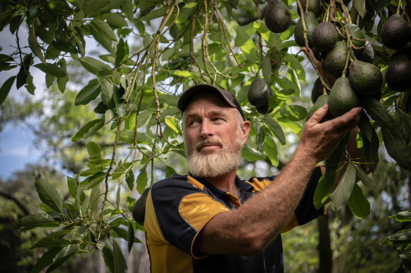 Is a NSW drought on the cards?