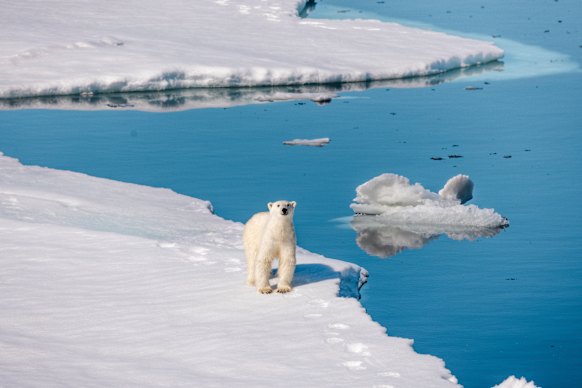 North or south? Choosing the polar frontier for you