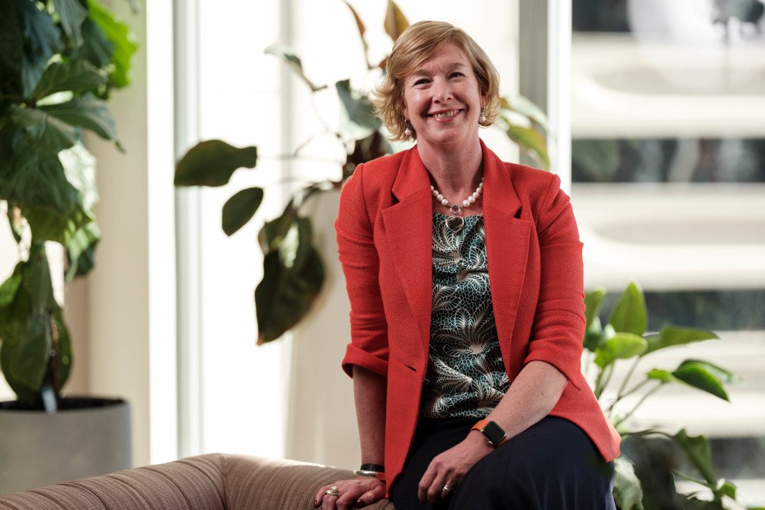 Anna Collyer promises no gold-plating on the road to net zero