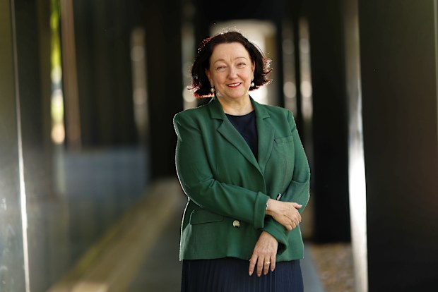 Australian Strategic Materials surges on rare earths play by US firm ...