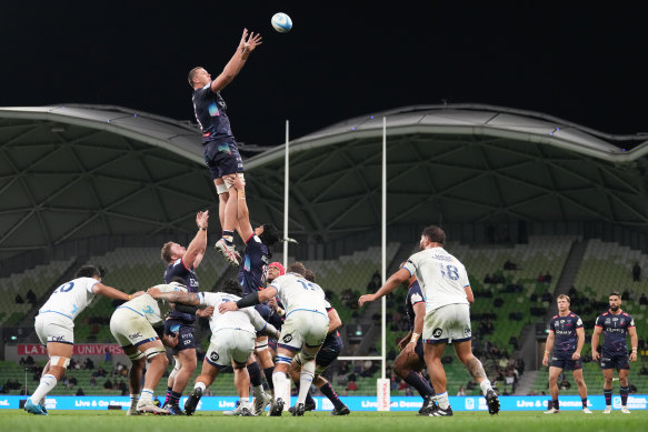 Wallabies 2024 squad: Joe Schmidt snub of Josh Canham for Wales ...