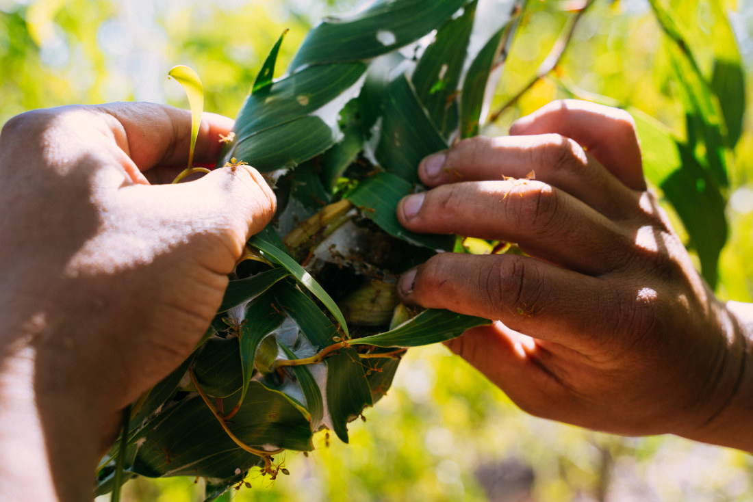 Mighty Craft boost for Seven Seasons puts First Nations founder Daniel ...