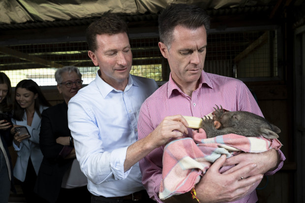 NSW election: Skilled workers at heart of Minns’ pitch to business