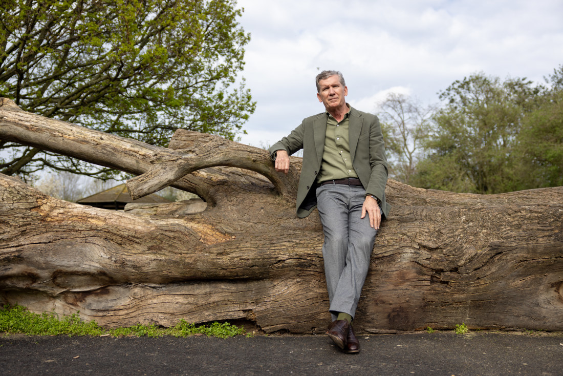 Birth of Pollination: Two pieces of paper to global green bank backed ...