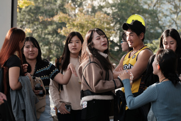 International student caps: Desperate colleges maneouvre past rules in ...