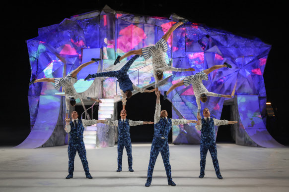 ‘Finally, my friends will believe I’m doing circus’: Brisbane acrobat ...