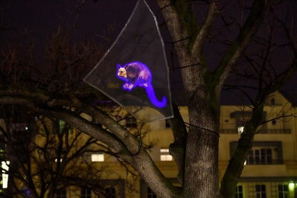 Council drives possums out of park, installs holographic possum projection