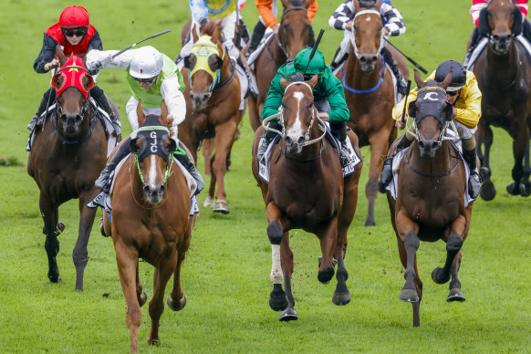 Race-by-race preview and tips for Rosehill on Saturday