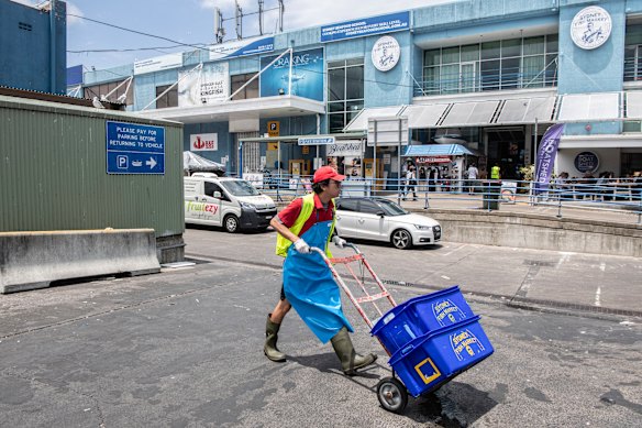 Sydney Fish Market: Long road to new building opening