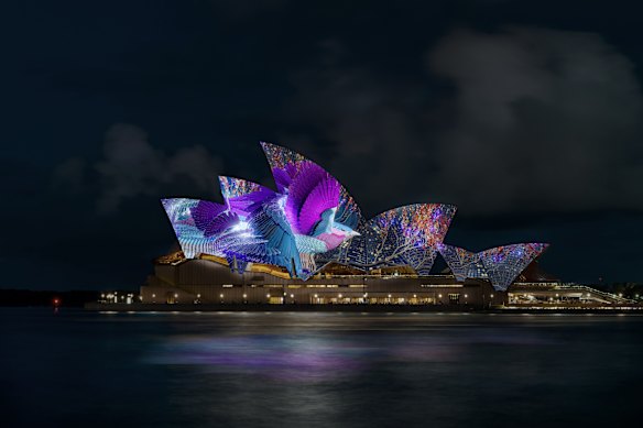 Sydney Vivid Festival 2026: Your guide to what’s on