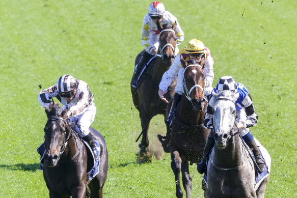 Bowman gives import top marks for Bill Ritchie win