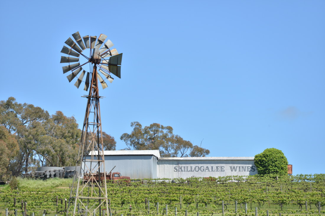 Rieslings from Skillogalee winery in South Australia’s Clare Valley ...