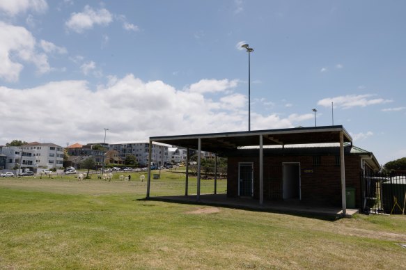 Clovelly Crocs’ Burrows Park upgrade plans abandoned after NIMBY backlash