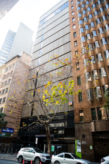 Telstra readies $300m telephone exchange for sale