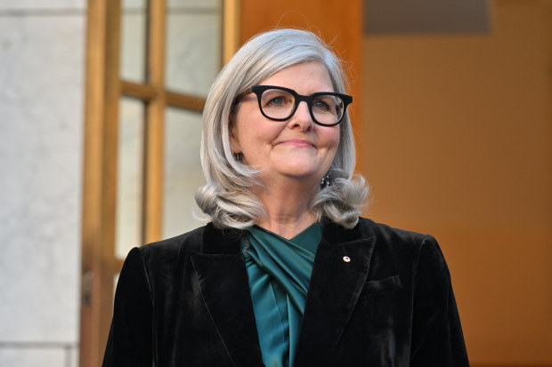 Sam Mostyn appointment: a first governor-general from the business world