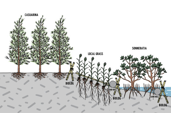 How a ‘green pillow’ is helping to save Hoi An from climate change floods