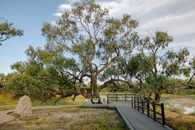 Nappa Merrie Station: Historic Queensland cattle station hits the ...