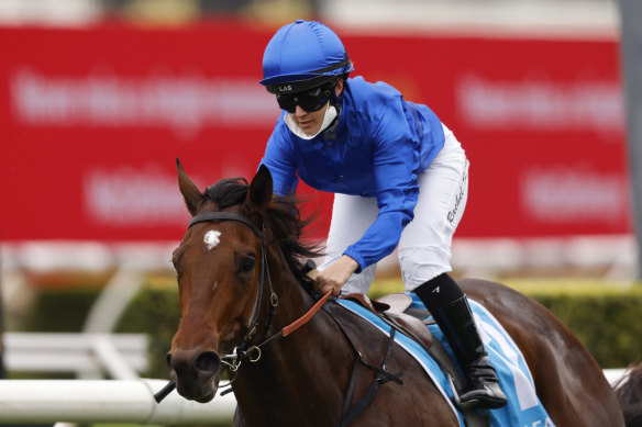Razor sharp Brigantine flying the flag for Godolphin’s bloodlines