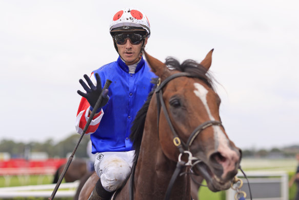 ‘I owe him a Slipper’: Portelli puts Collett in the box seat