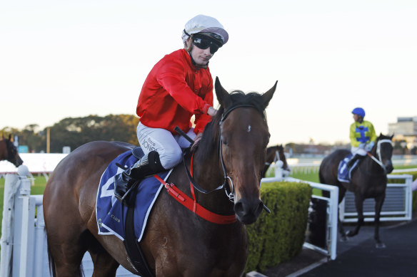 Premiership might be out of reach but Jones chases consecutive centuries