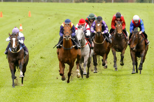 Overpass takes Everest barrier trial as audition continues