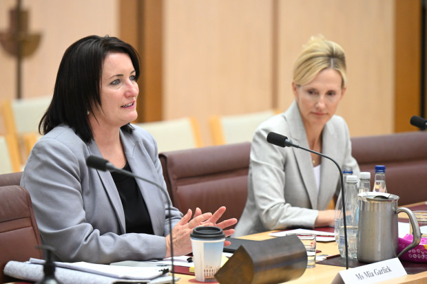 Apple, Google, parents should stop kids using social media apps: Meta