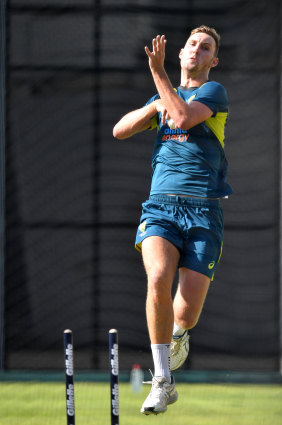 Australia v Sri Lanka T20 series 2019: Billy Stanlake replaces Mitchell ...