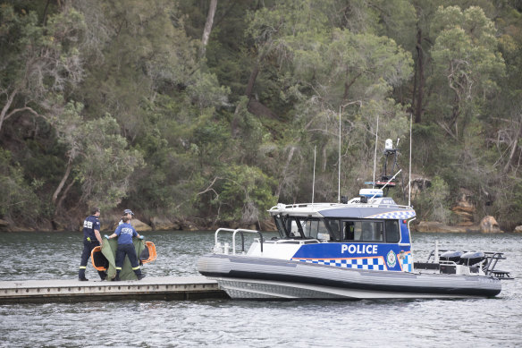 Sydney seaplane crash: Role of carbon monoxide not considered until ...