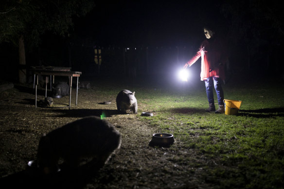 From wombats to Wollombi, new mining plans stoke community concerns
