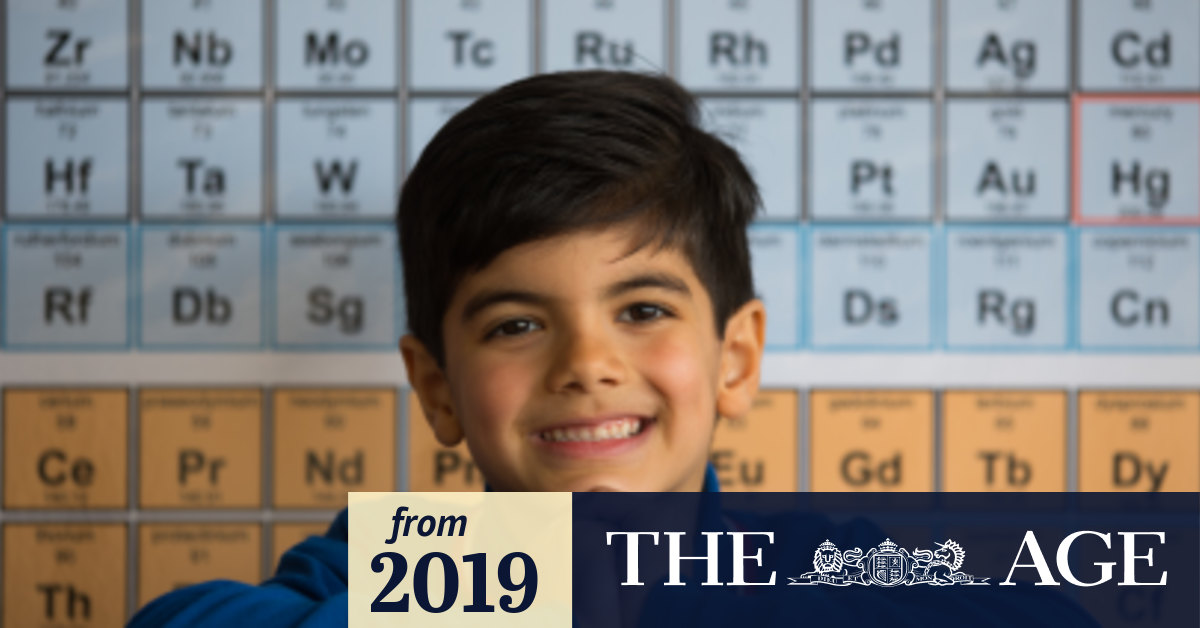 Confident, cute and an IQ of 139: Meet Maximus, the five-year-old ...