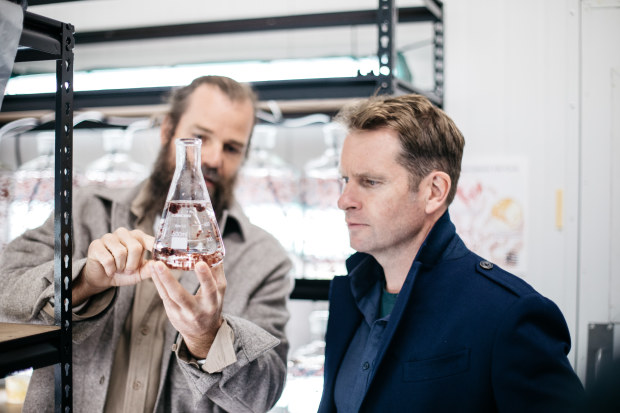 Sustainability Leaders 2022: M.J. Bale’s zero-emission wool takes a ...