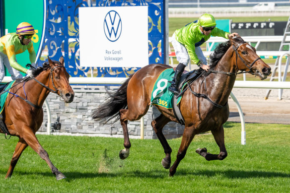 Racing 2021: The rise and rise of Symon Wilde as he heads for biggest ...