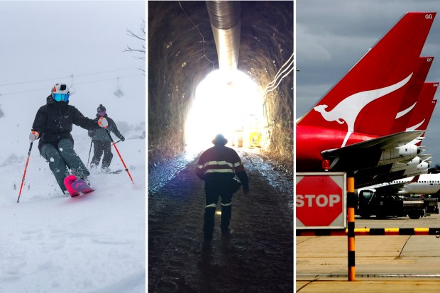 ASX stock picks: From Temple & Webster to Corporate Travel, Citi ...