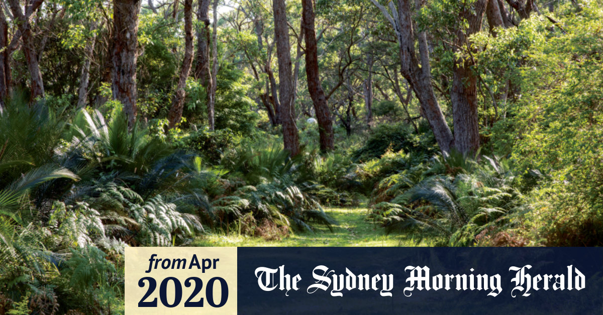 Inside the architect's garden: Natural bush is the defining element