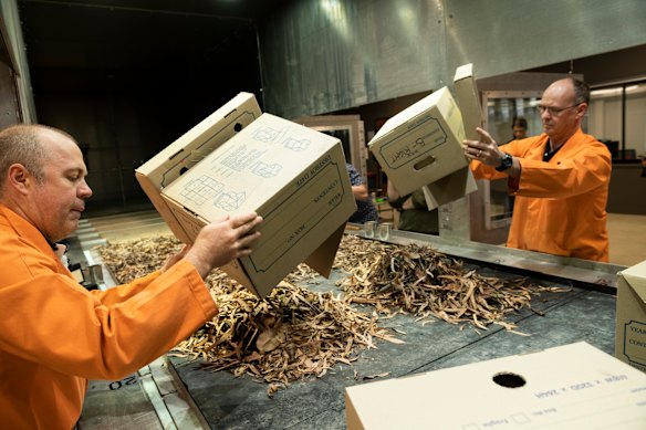 Bushfires: Out-think the fire’: CSIRO tackles Australia’s burning problem