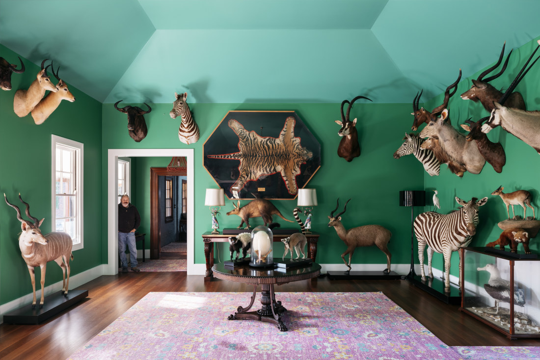 Dale Frank’s Singleton home is stuffed with taxidermy animals in a ...