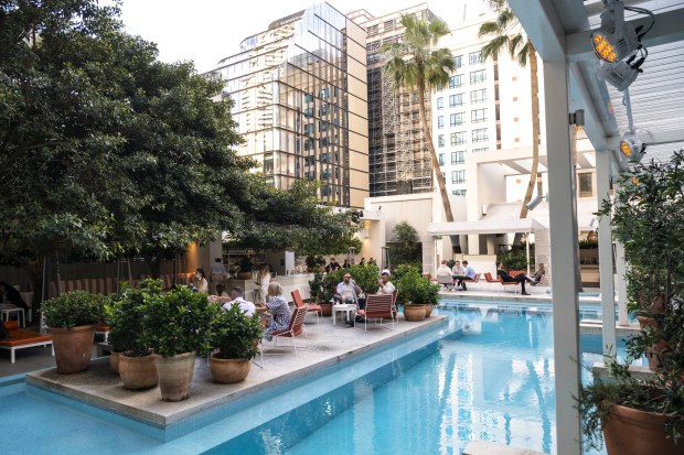 CA ANZ: Accounting body faces lawsuit over Christmas party sexual ...