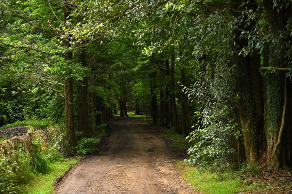 Justin Stein: Nine-year-old Charlise Mutten’s fateful Christmas holiday