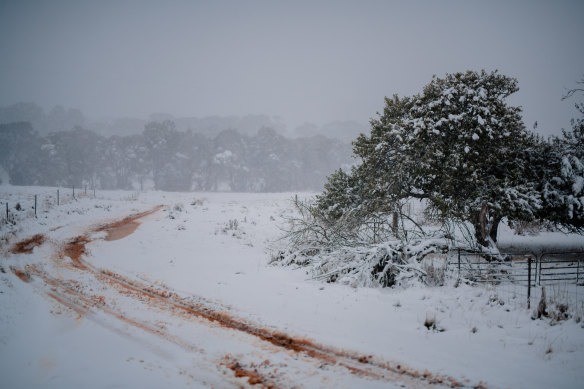 Sydney weather: NSW gets sprinkling of snow, wild surf to continue
