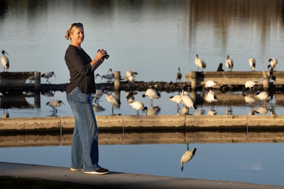 Albert Park Lake: Residents fear more bird deaths due to avian botulism ...