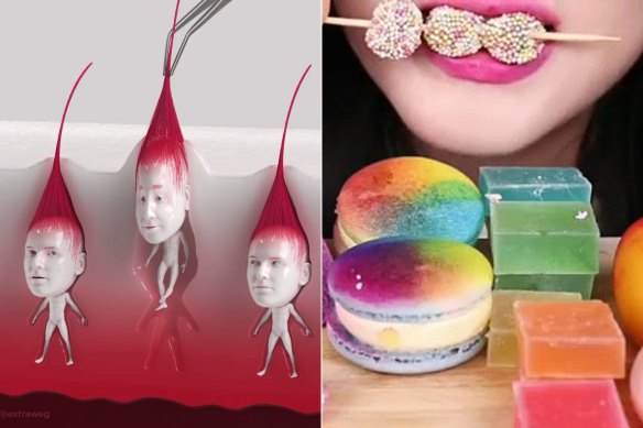 Sensory perception How artists are experimenting with ASMR