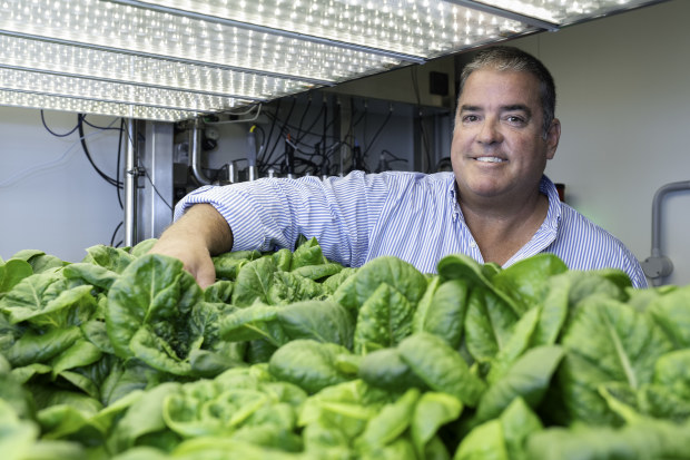 Stacked Farm raises funds of close to $100m with help from Rich Lister ...