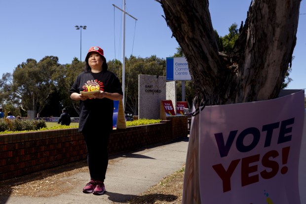 Voice referendum: Chinese had high Yes vote; it’s complex, says Liberal ...