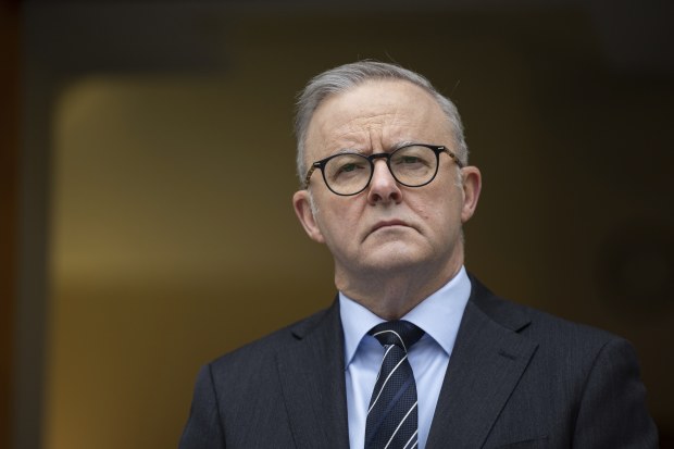 Anthony Albanese: The prime minister putting comedians out of work