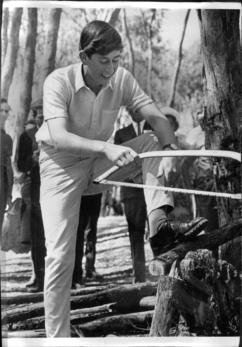 Pale, stale royals’ bloodline privilege defies democracy