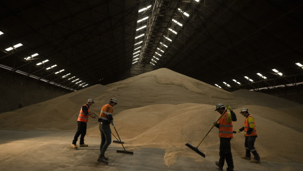 GrainCorp on track for another big profit as world clamours for wheat