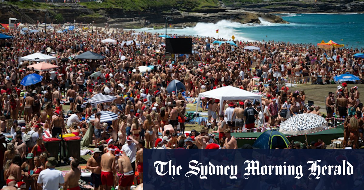 Bronte Beach Christmas Day party future to be voted on by Waverley Council