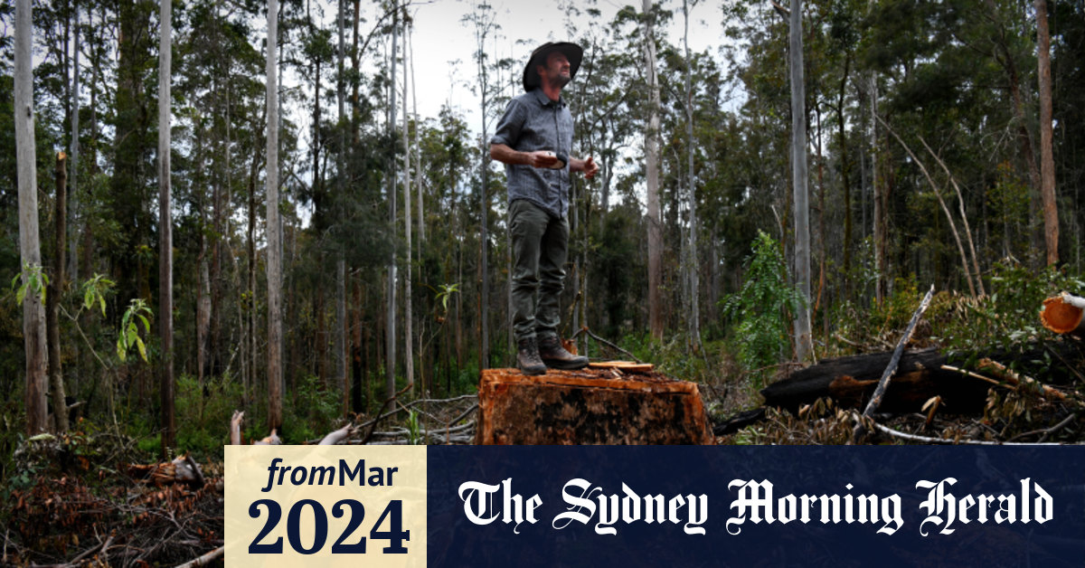 Geoff Cousins declares war on NSW logging industry